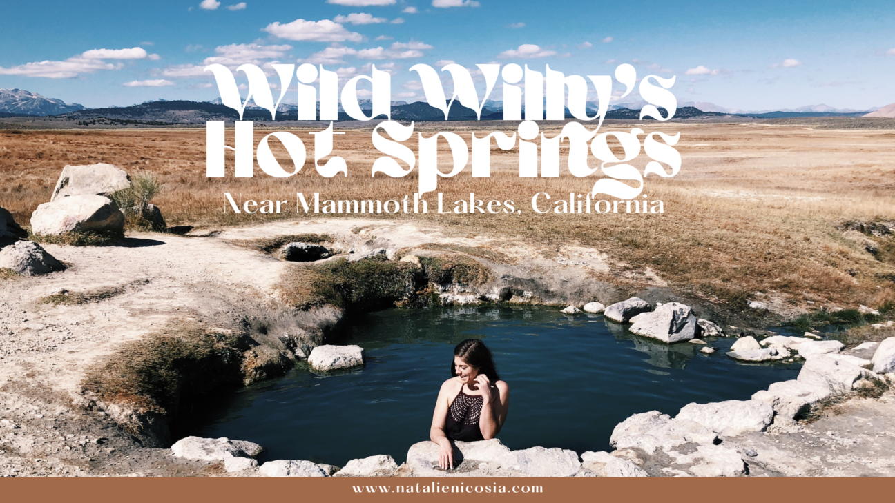Travel Guide to Wild Willy's Hot Springs in California - Natalie Nicosia