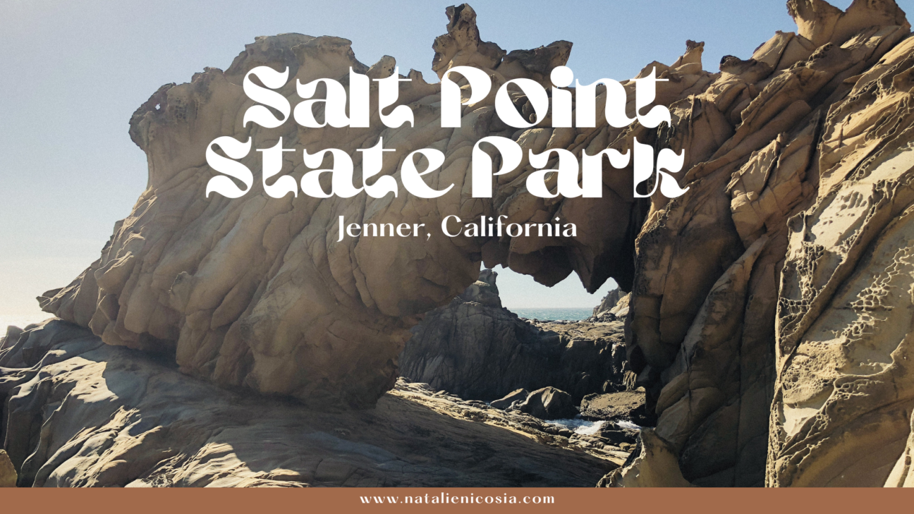 Discover the Magic of Salt Point State Park: A Comprehensive Travel ...